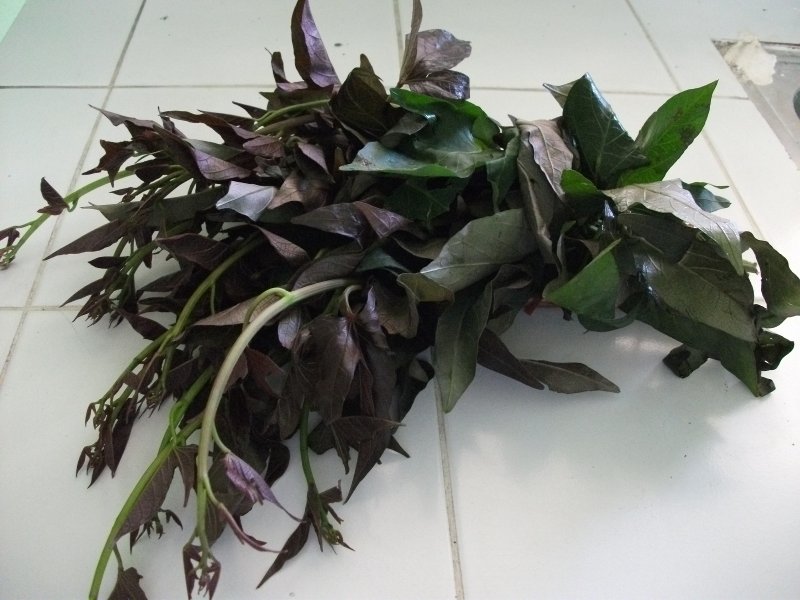 Vegetable top, in Chavacano or chabacano is: Talbus – Zamboanga